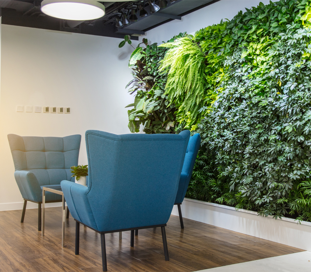 Exploring the Benefits of Biophilic Office Design